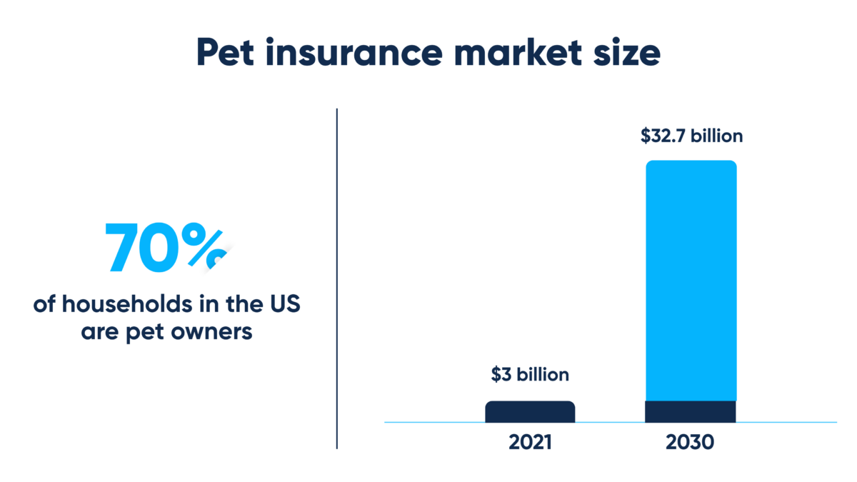 AI boosting pet insurance - Abto Software