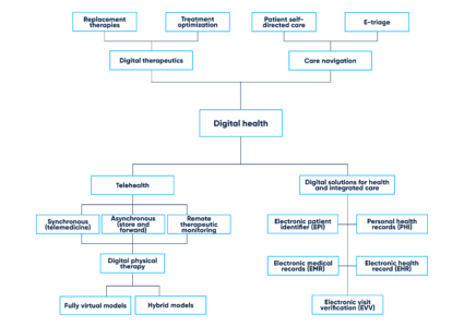 Medical software - main types and value