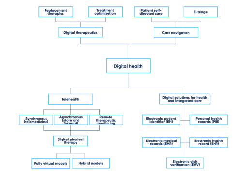 Medical software - main types and value