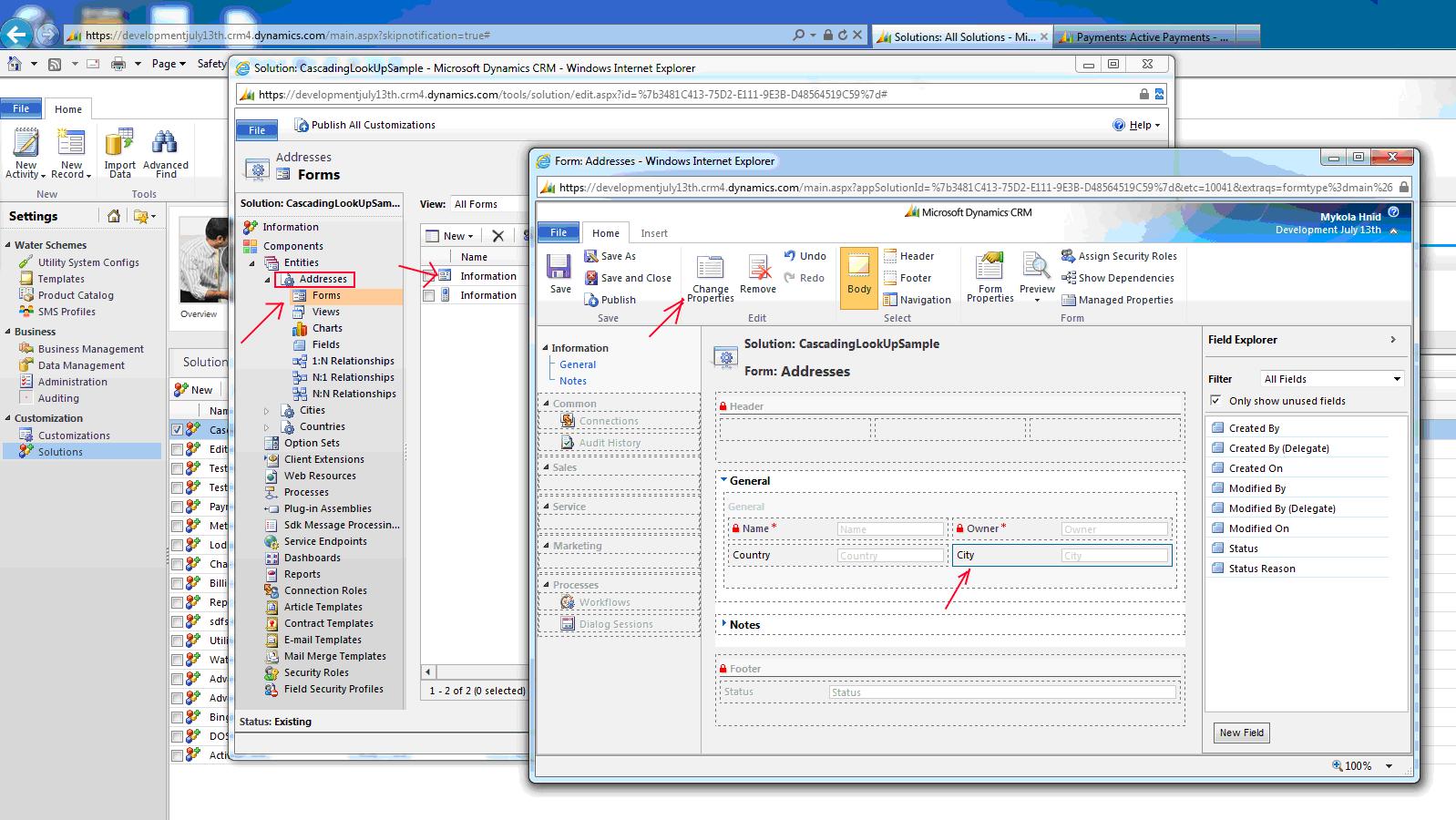 How to create Cascading Lookup in MS Dynamics CRM - Abto Software