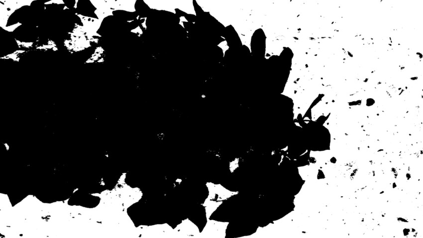 Pest Detection Using Image Processing - Abto Software