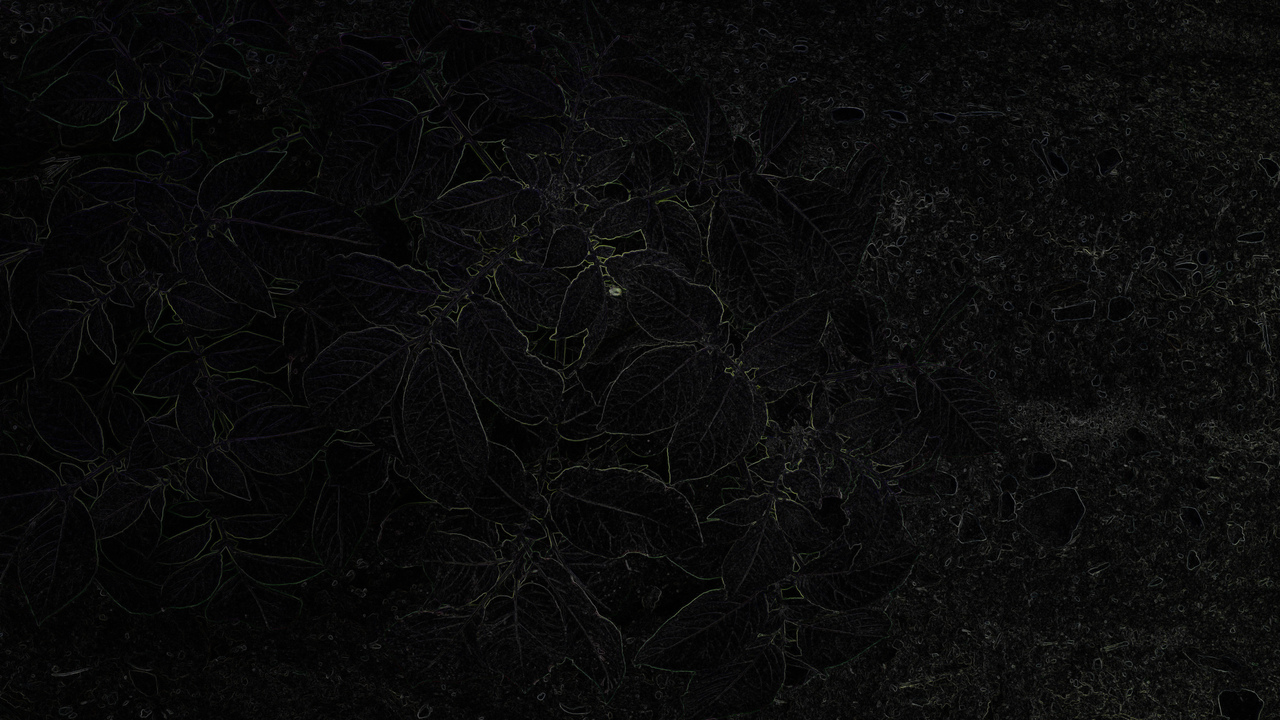 Pest Detection Using Image Processing - Abto Software