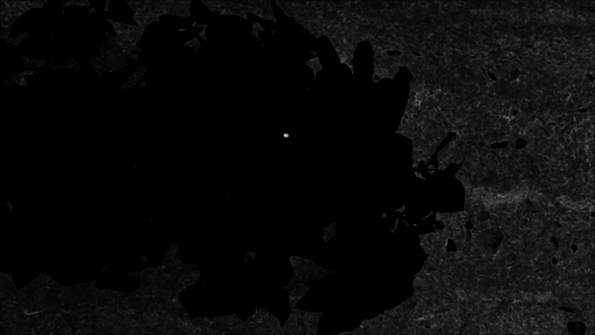 Pest Detection Using Image Processing - Abto Software