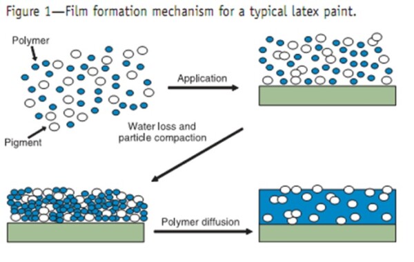 Particles Formation in Polymer-Water-Surfactant Systems Research