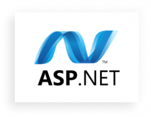 ASP.NET Development Company — ASP.NET Outsourcing