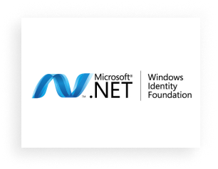 ASP.NET Development Company — ASP.NET Outsourcing