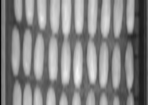 Image Processing for Object Counting - Abto Software