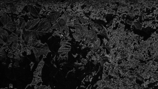 Pest Detection Using Image Processing - Abto Software